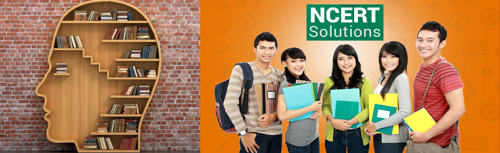 NCERT Class III - IndCareer Schools