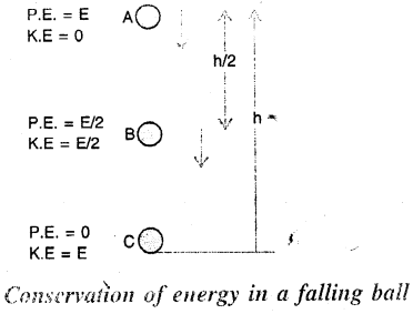 Selina Solutions for Class 7, Physics Chapter 3 - IndCareer Schools