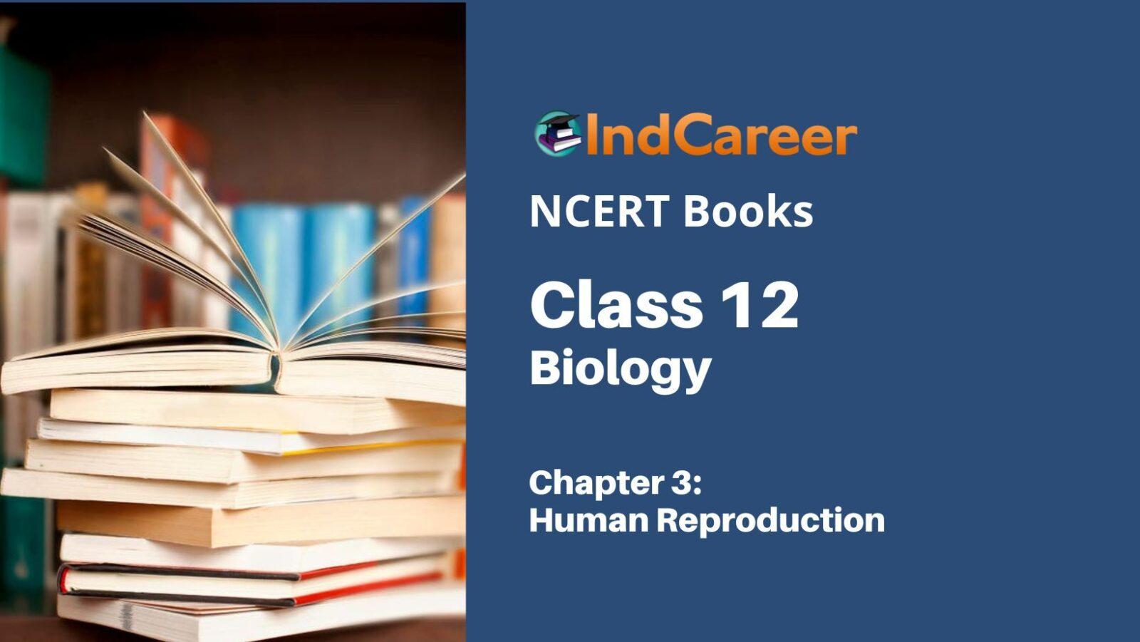NCERT Book for Class 12 Biology Chapter 3 Human Reproduction