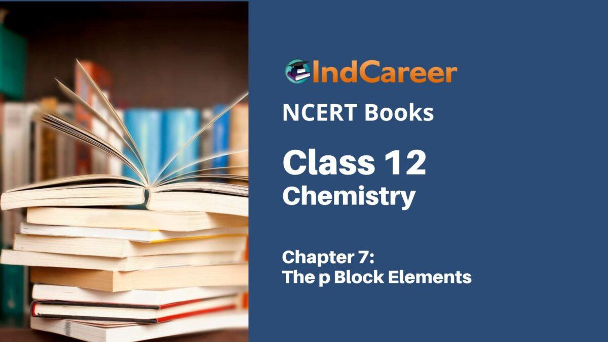 NCERT Book for Class 12 Chemistry Chapter 7 The p Block