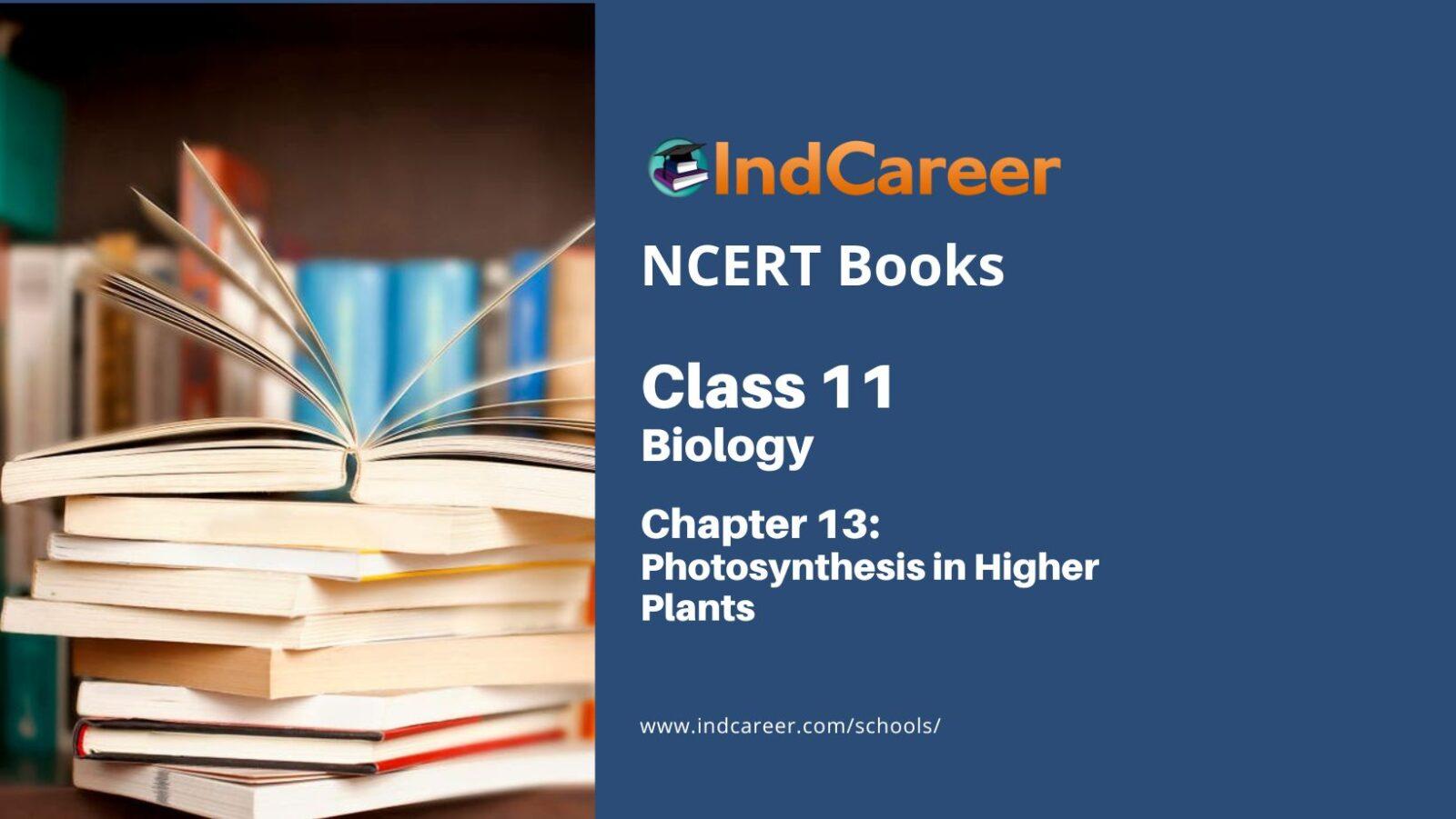 NCERT Book for Class 11 Biology Chapter 13 Photosynthesis