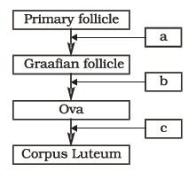 NCERT Exemplar for Class 12, Biology Chapter 3 - IndCareer Schools