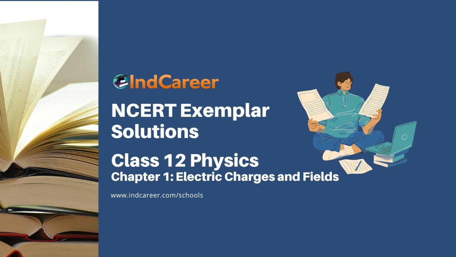 NCERT Exemplar for Class 12, Physics Chapter 1 - IndCareer Schools