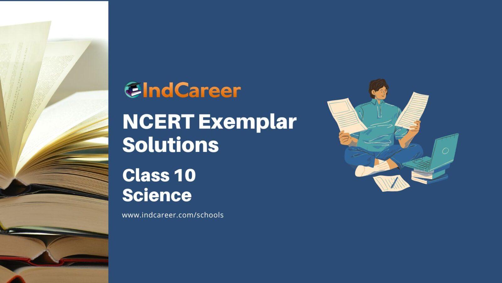 NCERT Exemplar Class 10 Science Solutions - IndCareer Schools