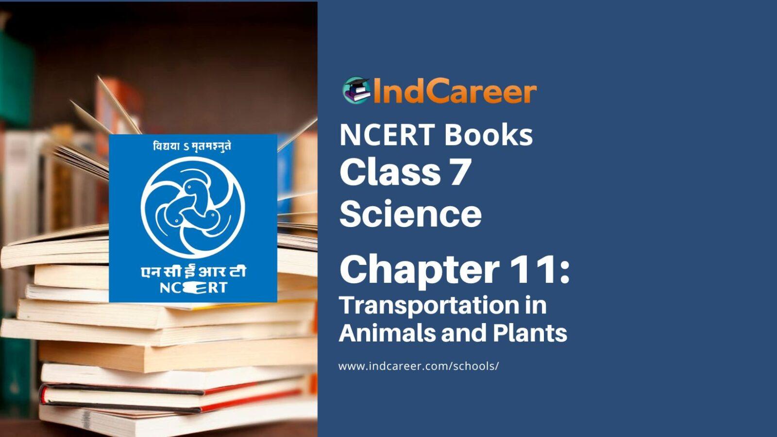NCERT Book for Class 7 Science: Chapter 11-Transportation in Animals ...