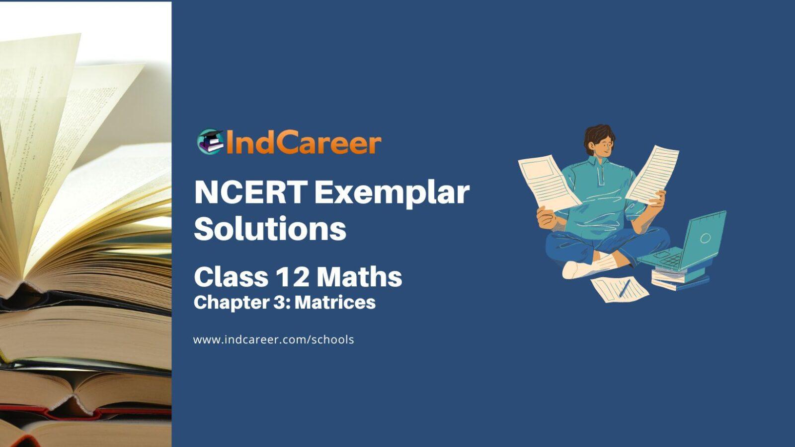 NCERT Exemplar for Class 12, Maths Chapter 3 - IndCareer Schools
