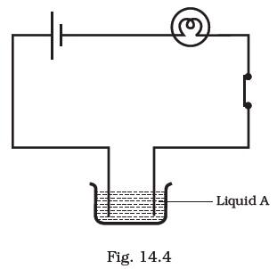 NCERT Exemplar for Class 8, Science Chapter 14 - IndCareer Schools