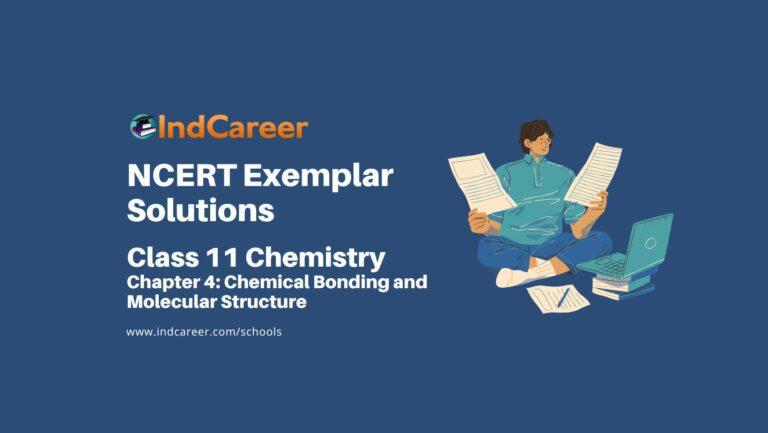 NCERT Exemplar for Class 11, Chemistry Chapter 4 - IndCareer Schools