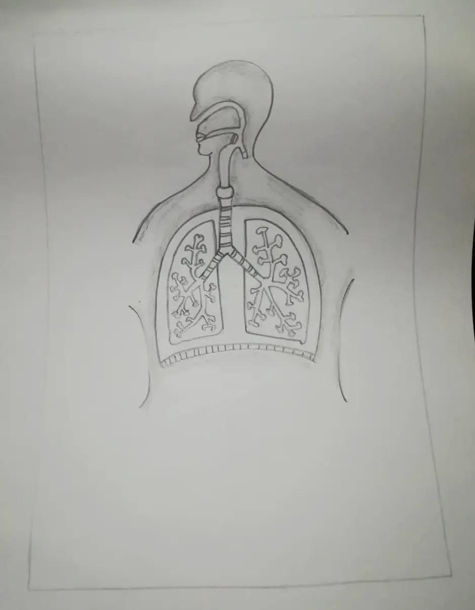 Lakhmir Singh Manjit Kaur Solutions for Class 7 Science: Chapter 10 ...