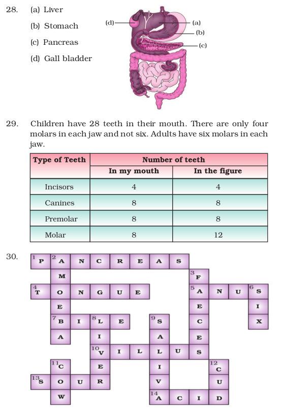 NCERT Exemplar for Class 7, Science Chapter 2 - IndCareer Schools