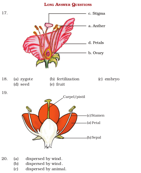 NCERT Exemplar for Class 7, Science Chapter 12 - IndCareer Schools