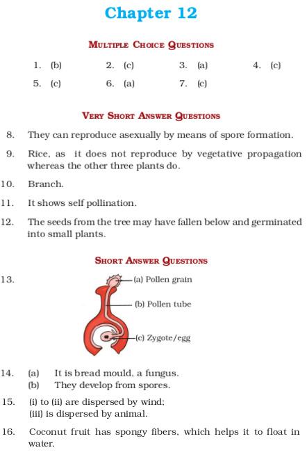 NCERT Exemplar for Class 7, Science Chapter 12 - IndCareer Schools