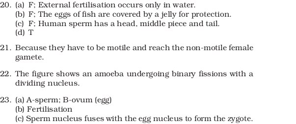 NCERT Exemplar for Class 8, Science Chapter 9 - IndCareer Schools