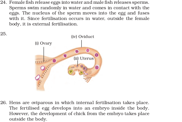 NCERT Exemplar for Class 8, Science Chapter 9 - IndCareer Schools