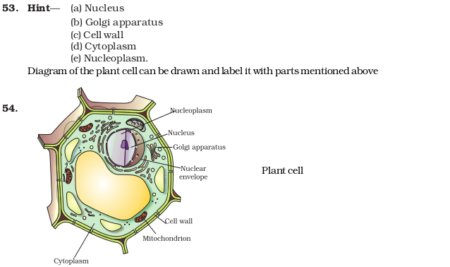 NCERT Exemplar for Class 9, Science Chapter 5 - IndCareer Schools