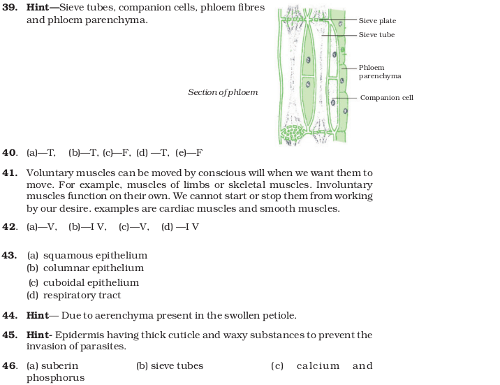 NCERT Exemplar for Class 9, Science Chapter 6 - IndCareer Schools